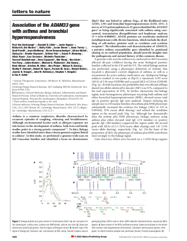 (PDF) Association of the ADAM33 gene with asthma and bronchial ...
