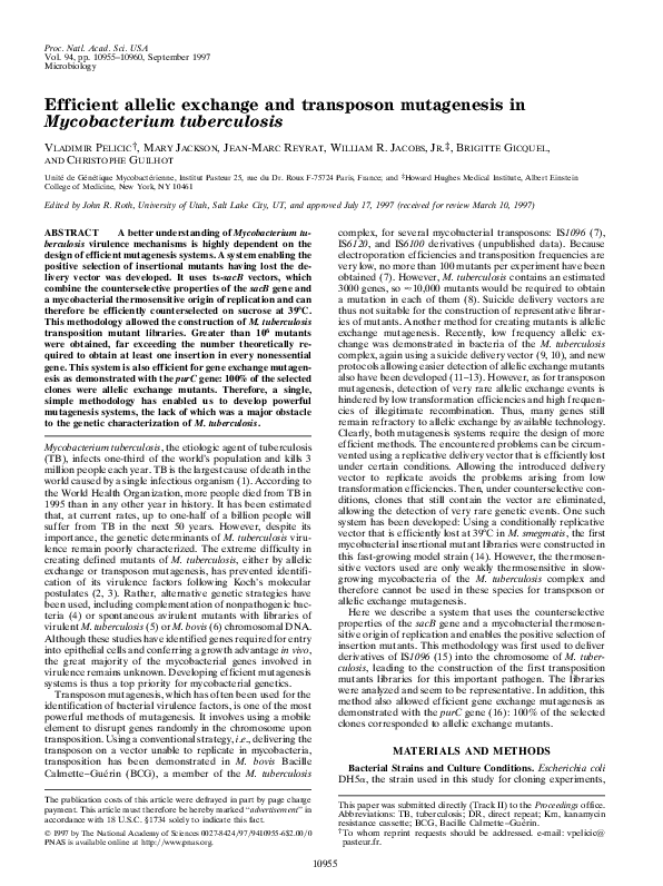 (PDF) Efficient Allelic Exchange and Transposon Mutagenesis in ...