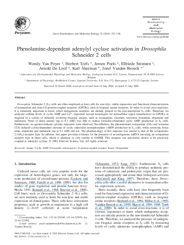 (PDF) Phenolamine-dependent adenylyl cyclase activation in Drosophila ...