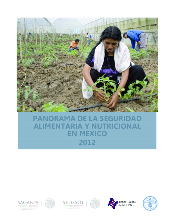 (PDF) Estado nutricional y su relación con la seguridad alimentaria en el medio rural de Oaxaca ...