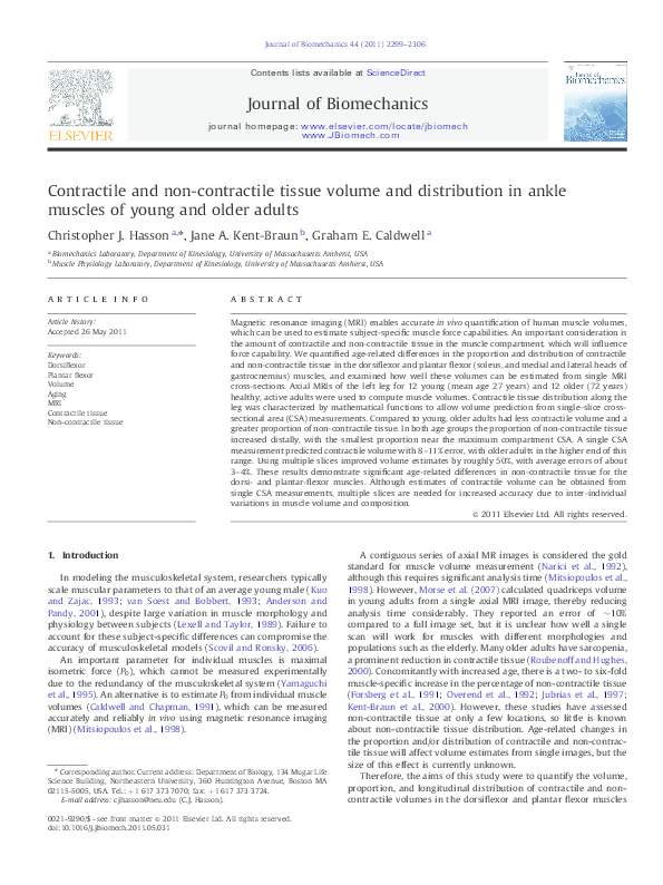(PDF) Contractile and non-contractile tissue volume and distribution in ...