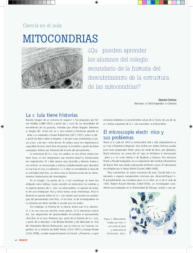 (PDF) Mitocondrias