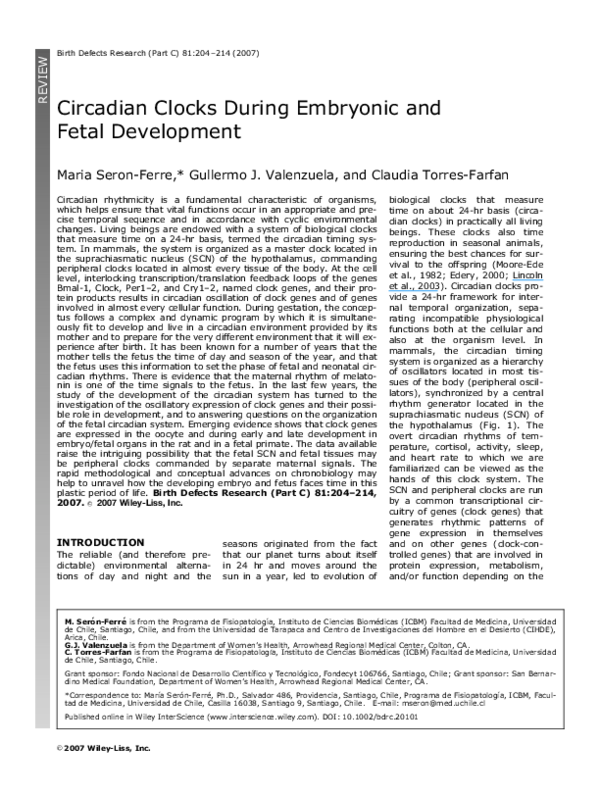 (PDF) Circadian clocks during embryonic and fetal development