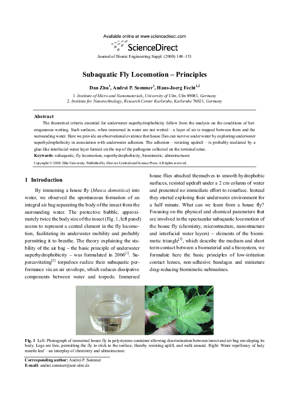 (PDF) Subaquatic Fly Locomotion — Principles