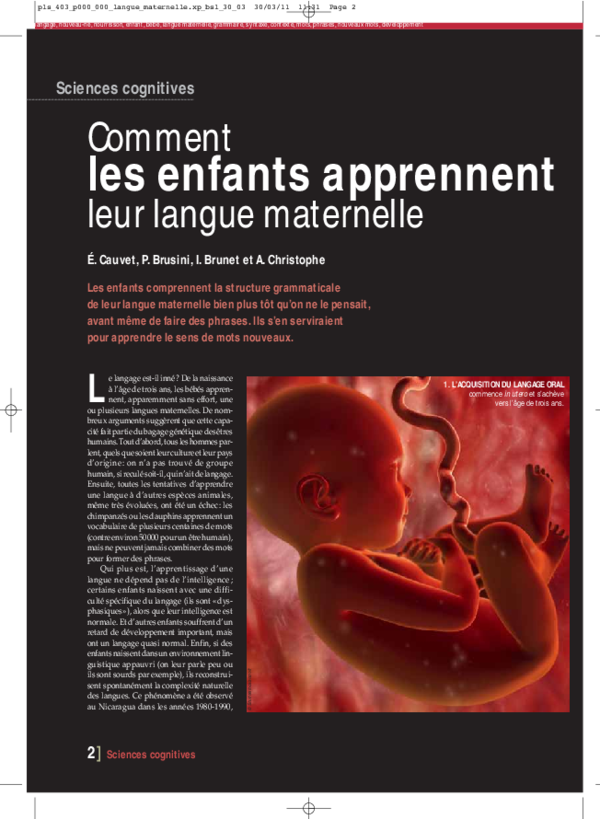 (PDF) Comment les enfants apprennent leur langue maternelle