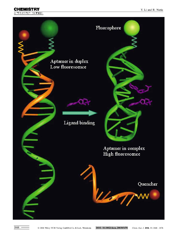 (PDF) Fluorescent Signaling with Structure-Switching Aptamers