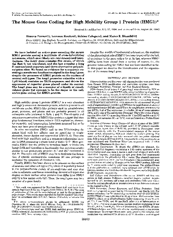 (PDF) The Active Gene That Encodes Human High Mobility Group 1 Protein ...