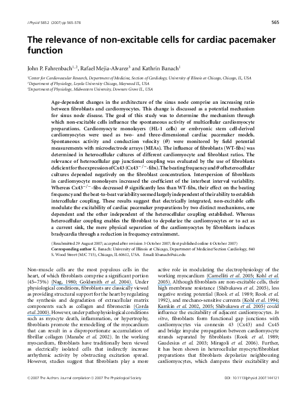 (PDF) The relevance of non-excitable cells for cardiac pacemaker function