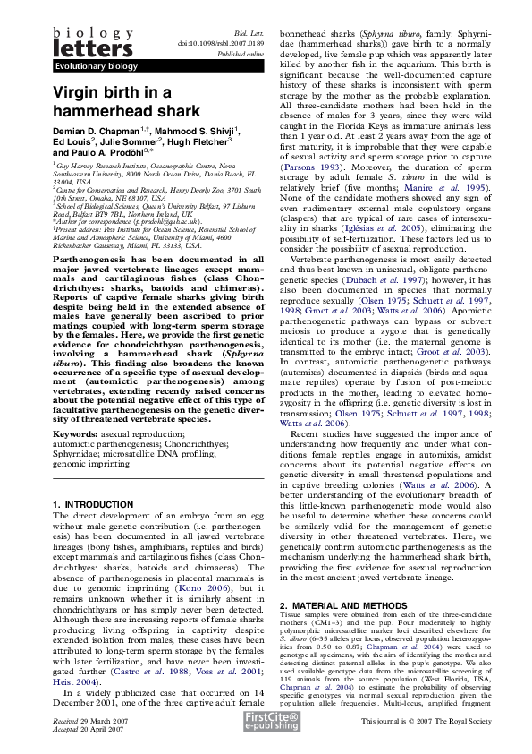 (PDF) Virgin birth in a hammerhead shark