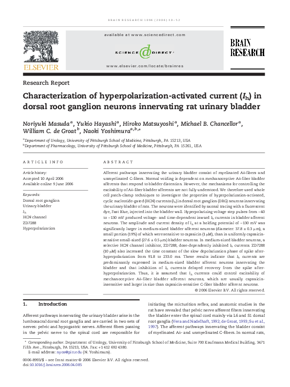 Pdf Expression And Properties Of Hyperpolarization‐activated Current In Rat Dorsal Root