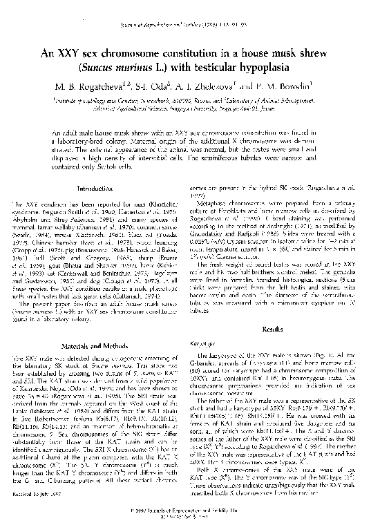 (PDF) An XXY sex chromosome constitution in a house musk shrew (Suncus ...