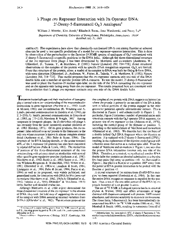 Pdf Lambda Phage Cro Repressor Interaction With Its Operator Dna 2 1412