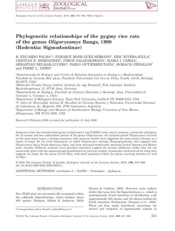 (PDF) Phylogenetic relationships of the pygmy rice rats of the genus ...