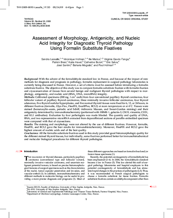 (PDF) Assessment of Morphology, Antigenicity, and Nucleic Acid ...