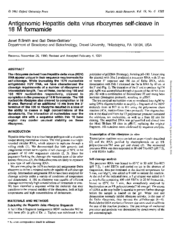 (PDF) Antigenomic Hepatitis delta virus ribozymes self-cleave in 18 M ...