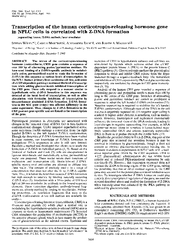 (PDF) Transcription of the Human Corticotropin-Releasing Hormone Gene ...