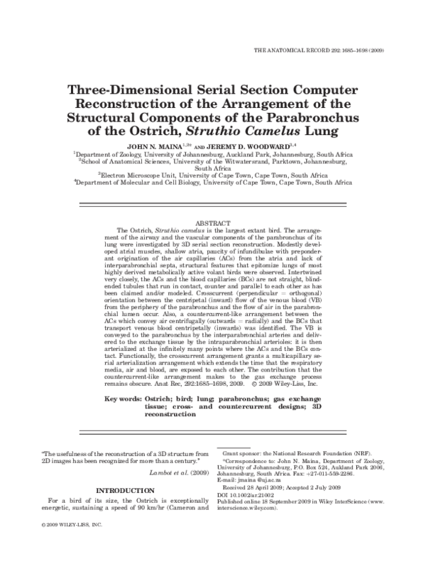 Pdf Three Dimensional Serial Section Computer Reconstruction Of The