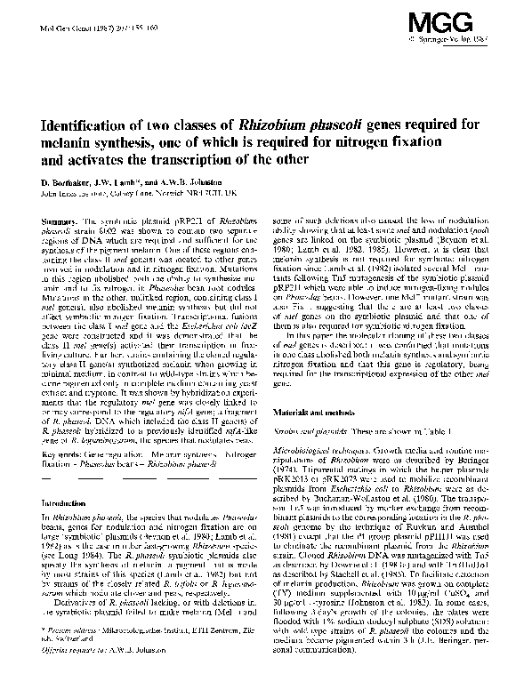 (PDF) Identification of two classes of Rhizobium phaseoli genes ...