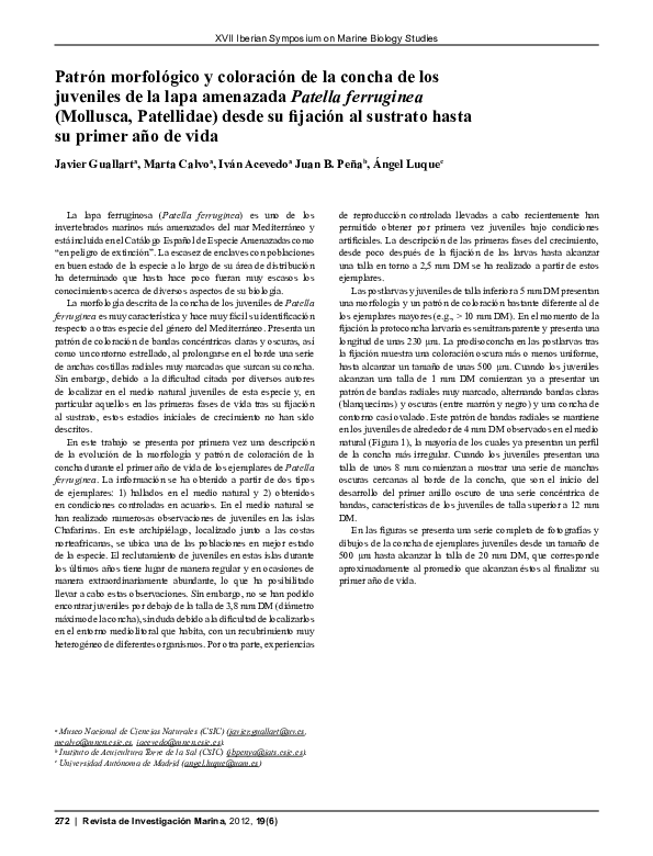 (PDF) Patrón morfológico y coloración de la concha de los juveniles de ...