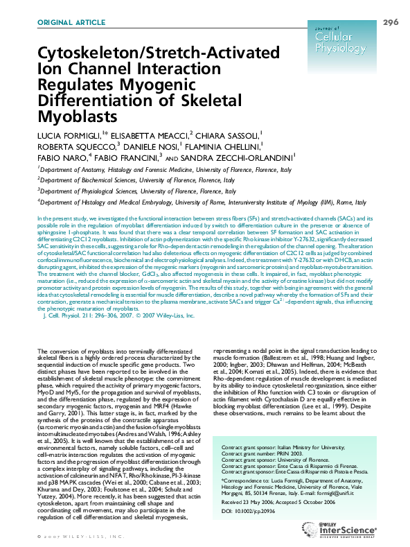 (PDF) Cytoskeleton/stretch-activated ion channel interaction regulates ...