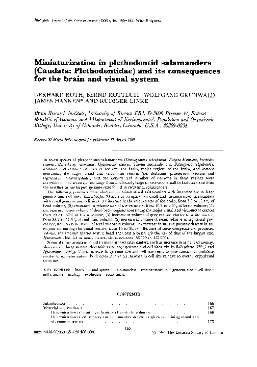 (PDF) Miniaturization in plethodontid salamanders (Caudata ...
