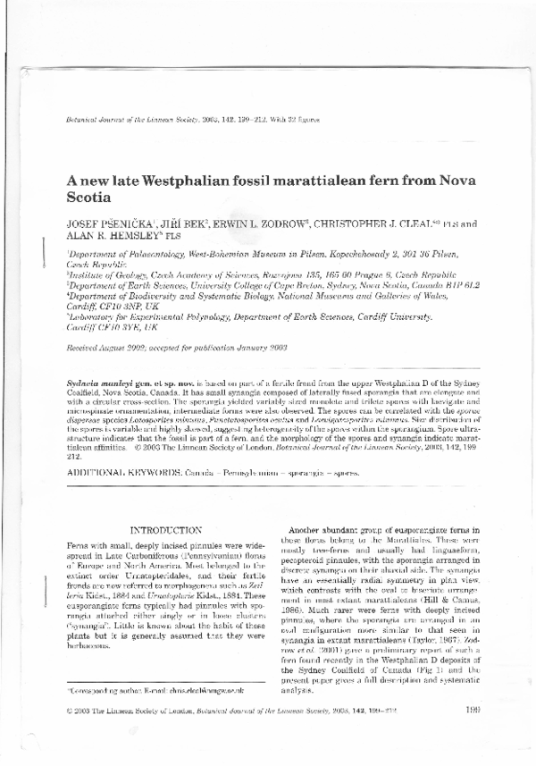 (PDF) A new late Westphalian fossil marattialean fern from Nova Scotia