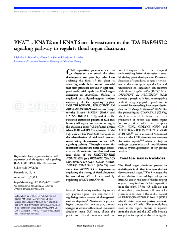 (PDF) KNAT1, KNAT2 and KNAT6 act downstream in the IDA-HAE/HSL2 ...
