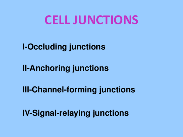 (PDF) CELL JUNCTIONS I-Occluding junctions II-Anchoring junctions III ...