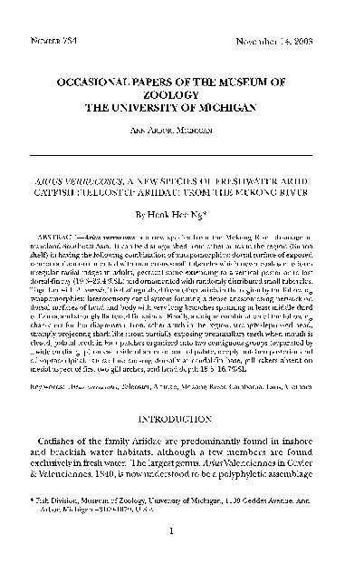 (PDF) Arius verrucosus, a new species of freshwater ariid catfish ...