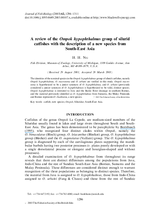 (PDF) A review of the Ompok hypophthalmus group of silurid catfishes ...