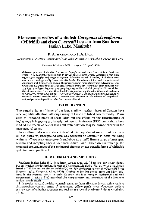 (PDF) Metazoan parasites of whitefish Coregonus clupeaformis (Mitchill ...