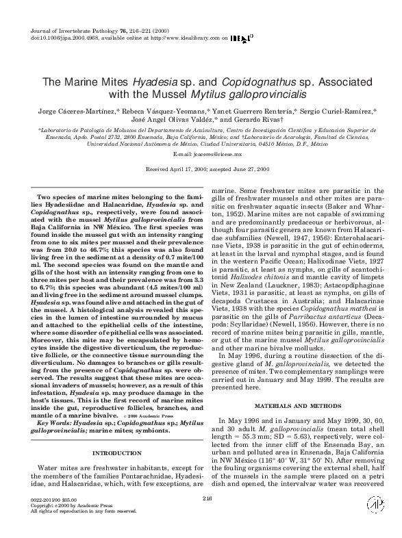 (PDF) The Marine Mites Hyadesia sp. and Copidognathus sp. Associated ...