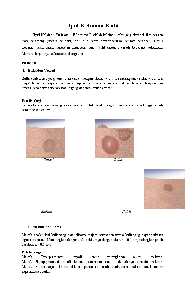(DOC) Ujud Kelainan Kulit