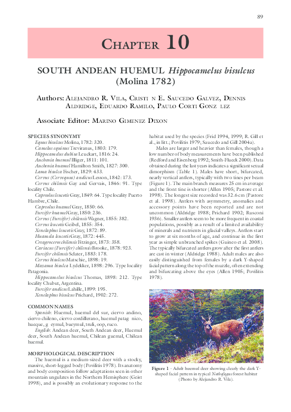 (PDF) South Andean Huemul (Hippocamelus bisulcus, Molina 1782)