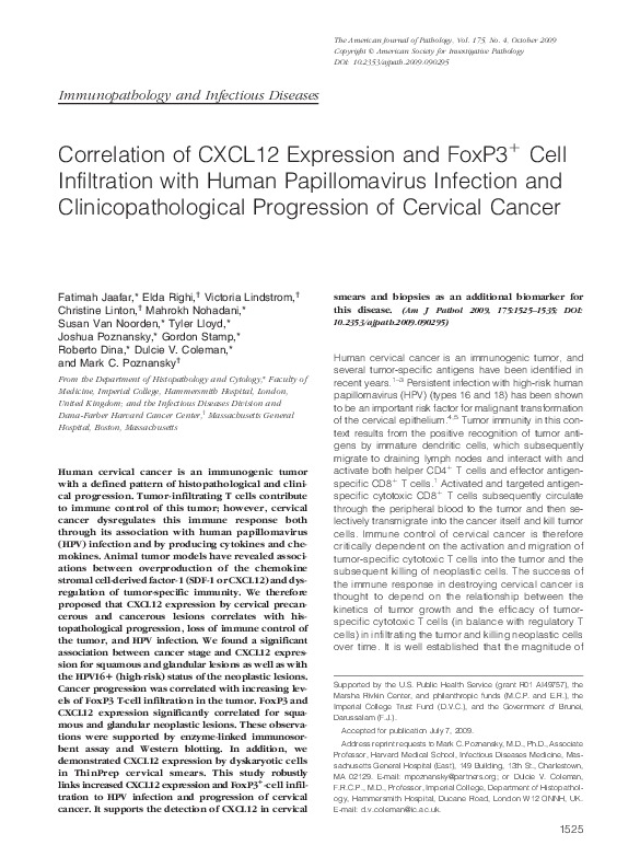 (PDF) Correlation of CXCL12 Expression and FoxP3 + Cell Infiltration with Human Papillomavirus ...