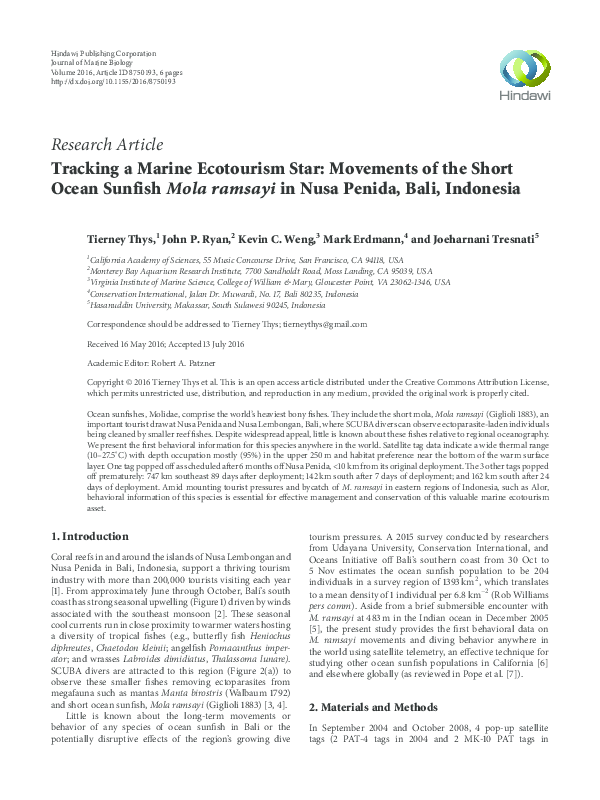(PDF) Tracking a Marine Ecotourism Star: Movements of the Short Ocean ...