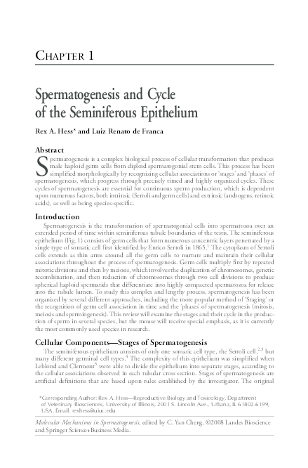 (PDF) CHAPTER 1 Spermatogenesis and Cycle of the Seminiferous Epithelium
