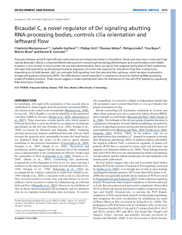 (PDF) Bicaudal C, a novel regulator of Dvl signaling abutting RNA ...