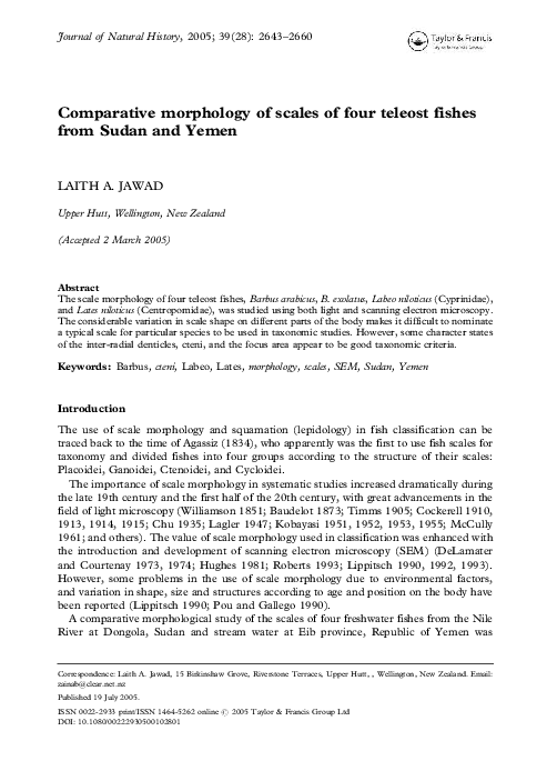 (PDF) Comparative morphology of scales of four teleost fishes from ...