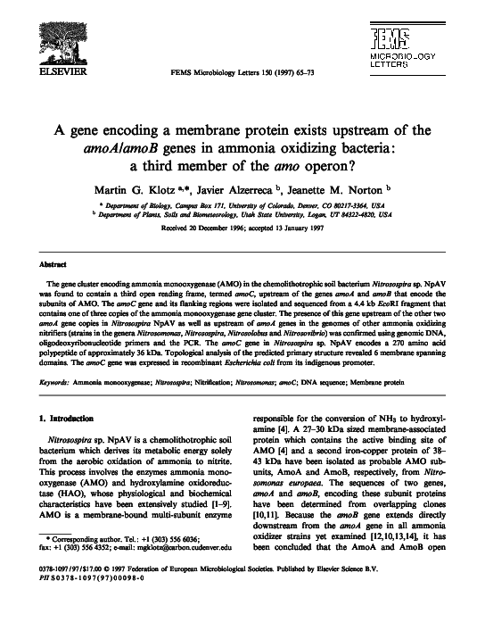 (PDF) A gene encoding a membrane protein exists upstream of the amoA ...