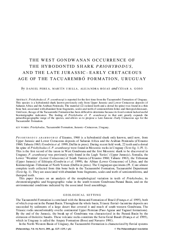 (PDF) First record of a hybodont shark (Chondrichthyes: Hybodontiformes ...