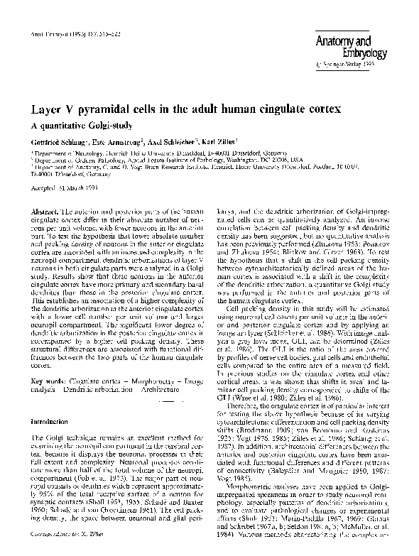 (PDF) Layer V pyramidal cells in the adult human cingulate cortex