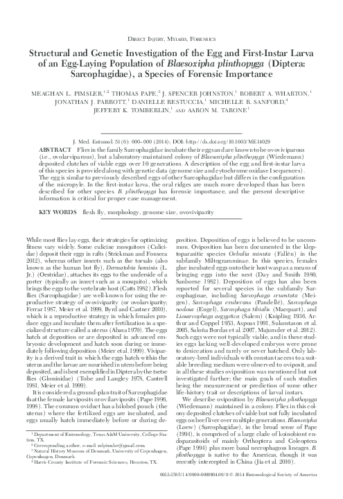 (PDF) Structural and Genetic Investigation of the Egg and First-Instar ...