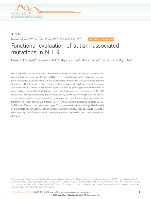 (PDF) Functional Evaluation of Autism-Related Mutations in the Na+ (k+)/ H+ Exchanger NHE9 ...