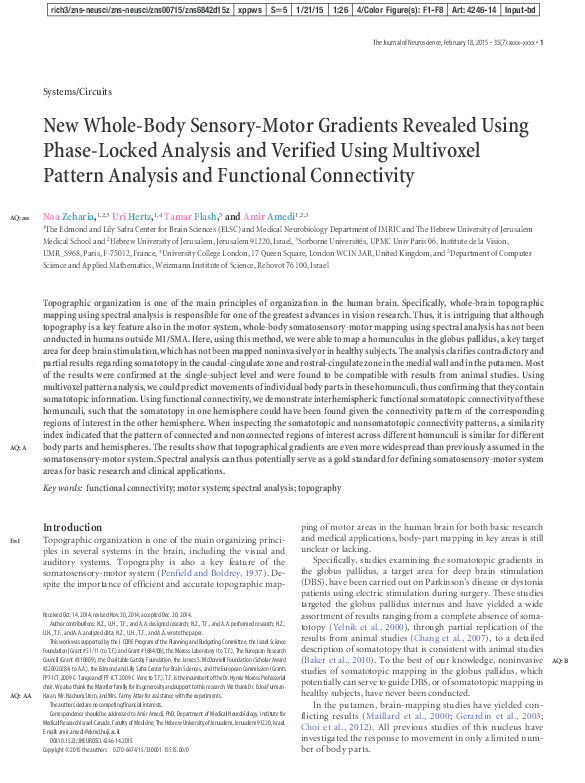 (PDF) New Whole-Body Sensory-Motor Gradients Revealed Using Phase-Locked Analysis and Verified ...