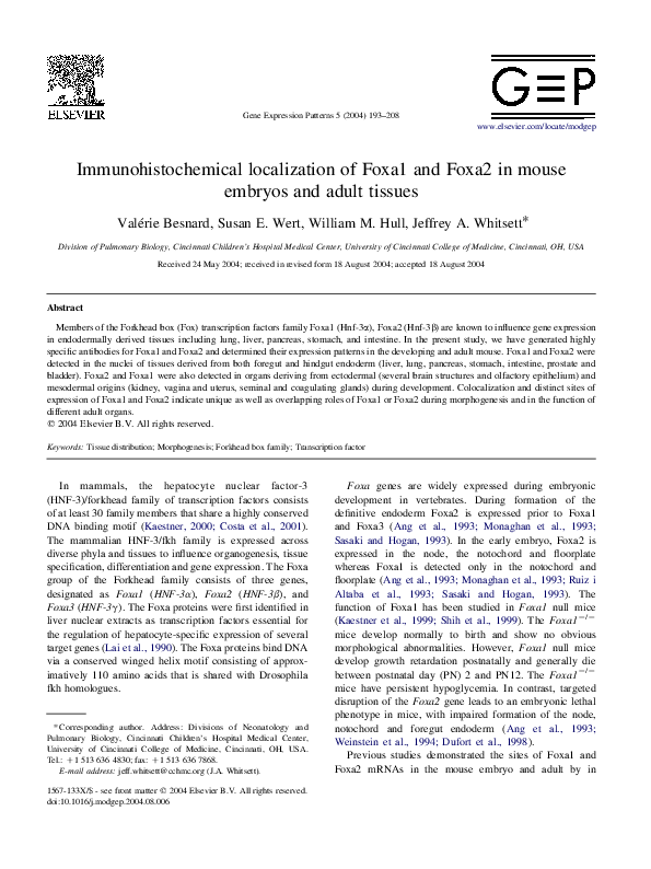 (PDF) Immunohistochemical localization of Foxa1 and Foxa2 in mouse ...