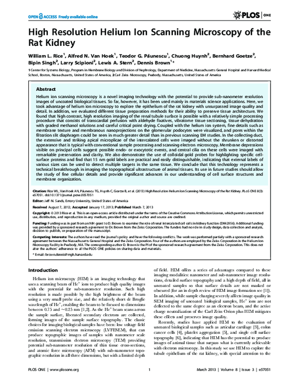 (PDF) High Resolution Helium Ion Scanning Microscopy of the Rat Kidney