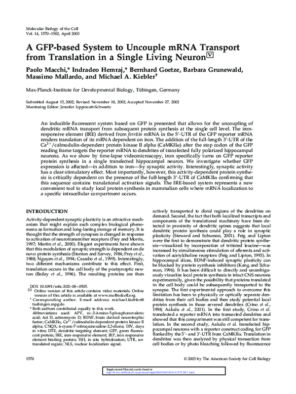 (PDF) A GFP-based System to Uncouple mRNA Transport from Translation in ...