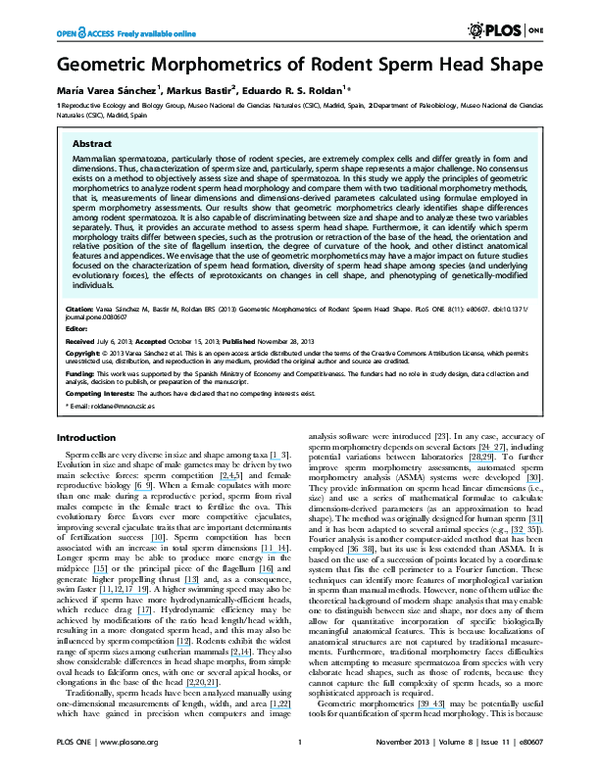 (PDF) Geometric morphometrics of rodent sperm head shape