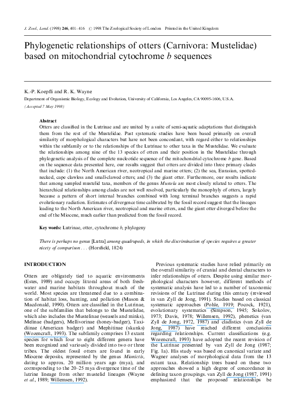 (PDF) Phylogenetic relationships of otters (Carnivora: Mustelidae ...